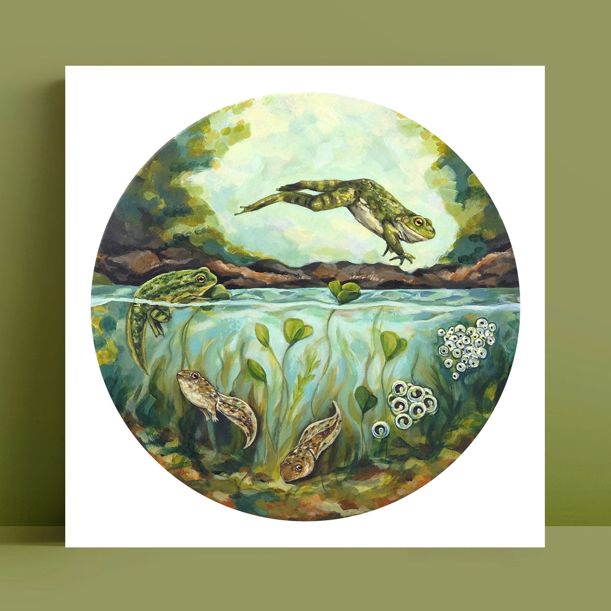 Frog Life Cycle Print – Prairie Sky General Store