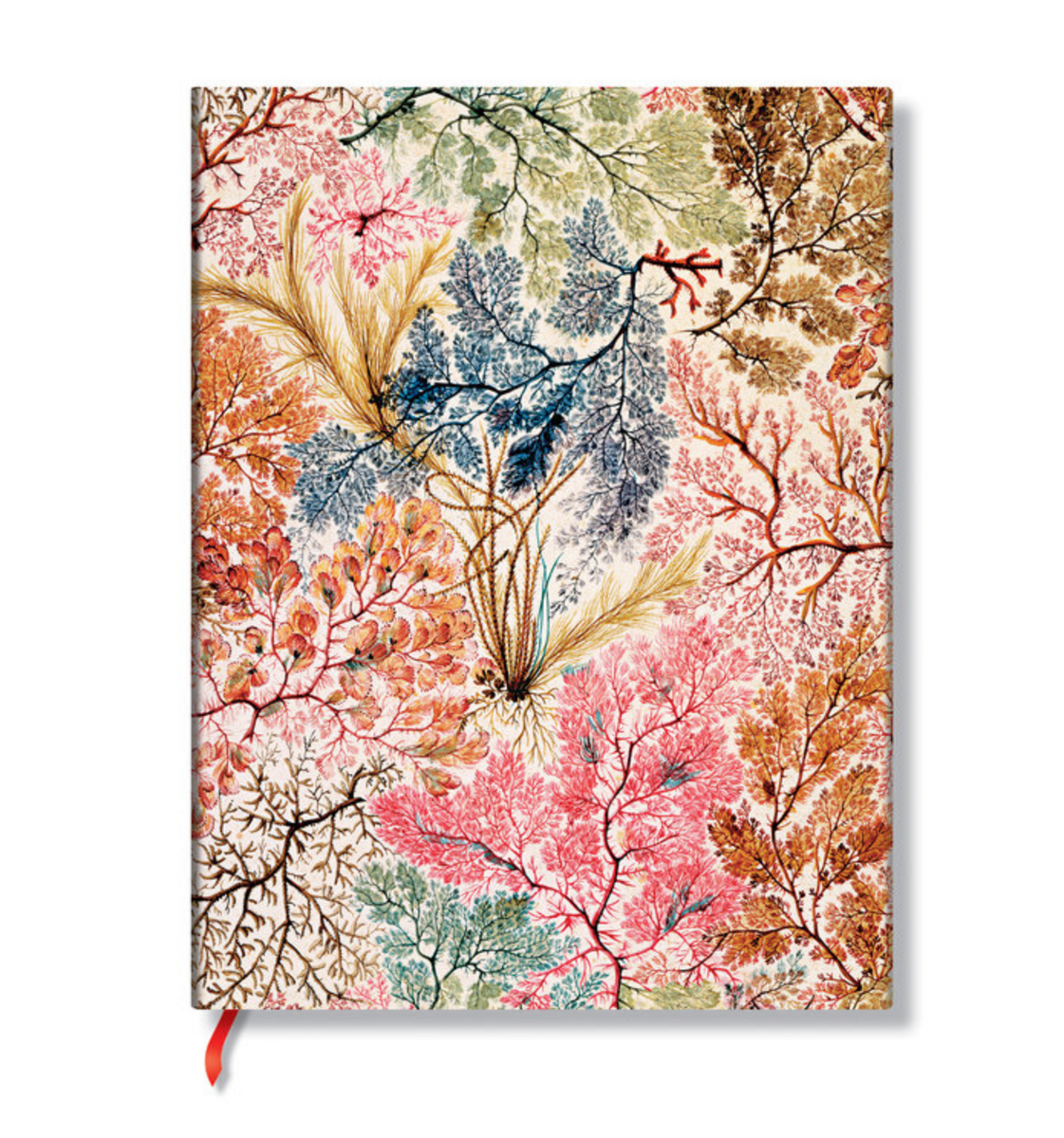 Anemone Unlined Softcover Journal – Prairie Sky General Store